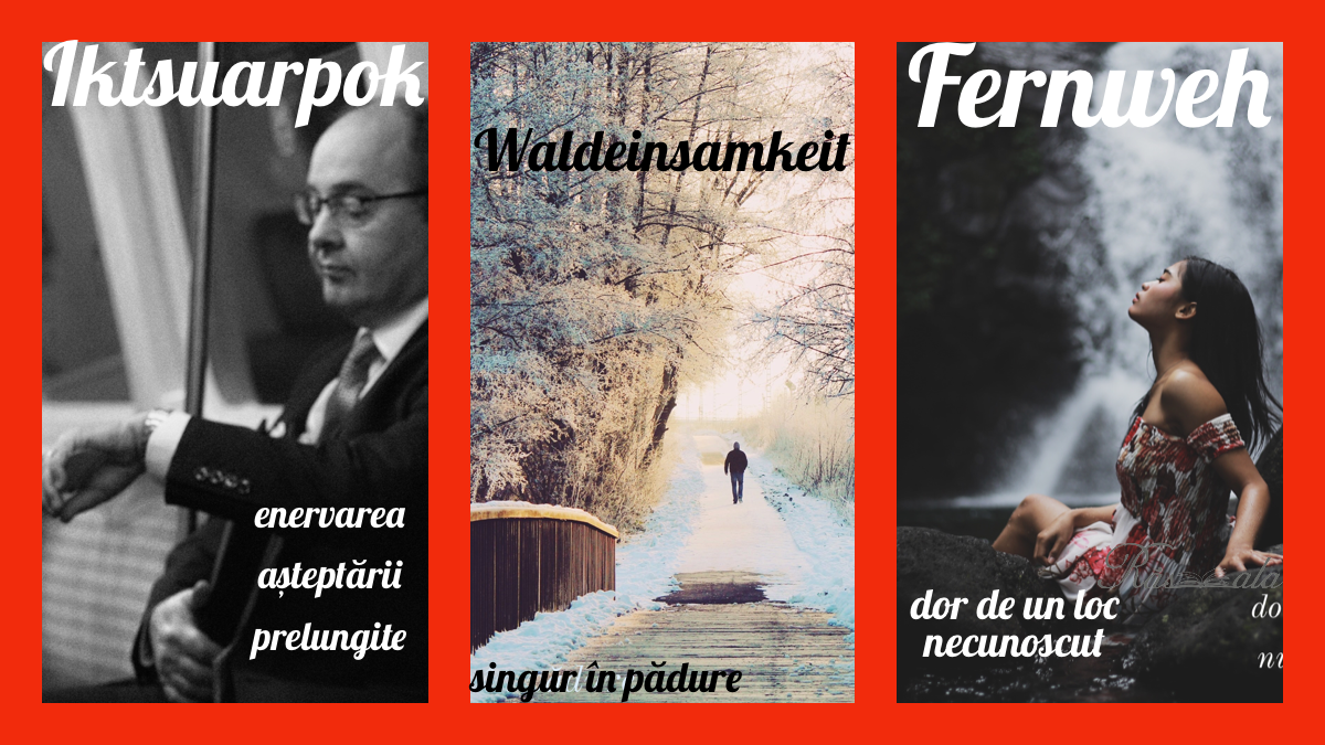 INEDIT 30 de cuvinte unice din alte limbi, imposibil de tradus printr ...