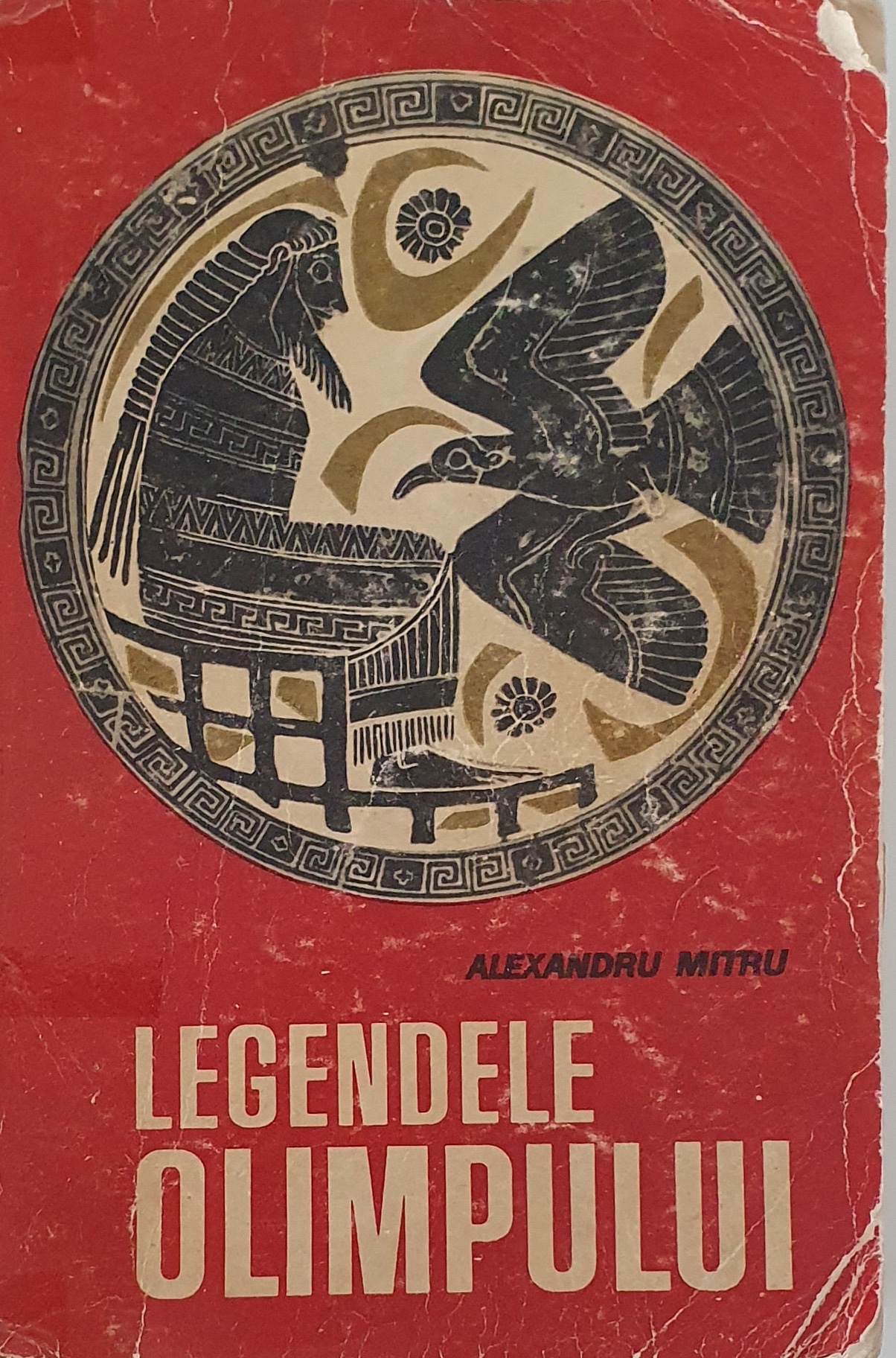 SCRIITOR & CITITOR Anca Vieru: „Cei care nu citesc pierd flexibilitatea ...